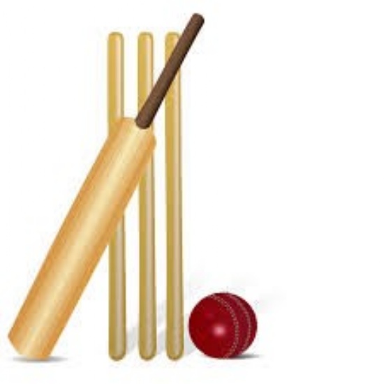 Broughton High School - Year 9 Cricket Lancashire Plate