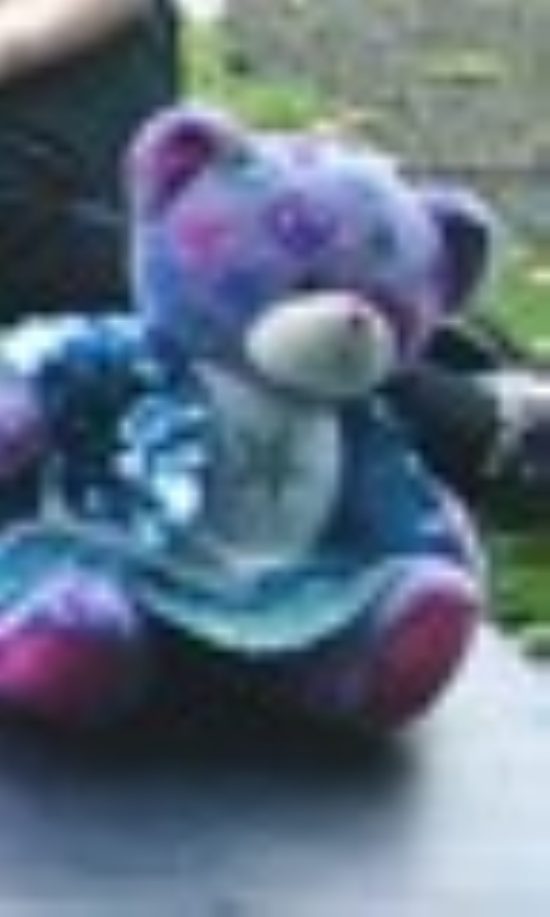 Broughton High School - Teddy Bear Picnic with Broughton PreSchool